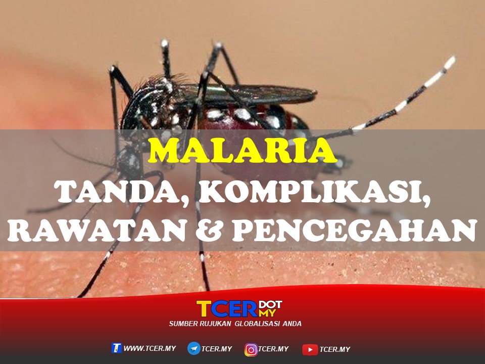 Malaria- Tanda, Komplikasi, Rawatan Dan Juga Pencegahan - TCER.MY