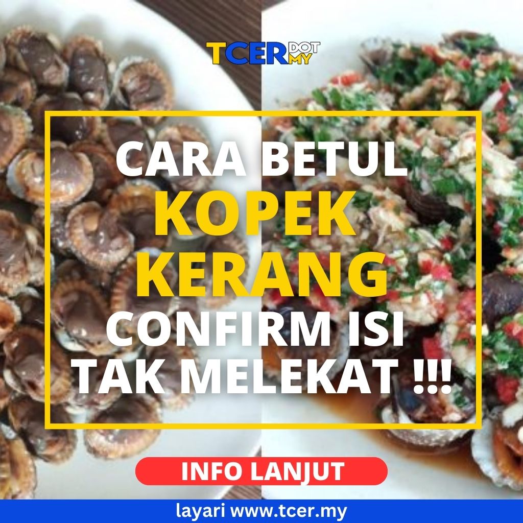 5 Cara Betul Kopek Kerang Dengan Mudah Dan Isi Tidak Melekat Pada Kulit ...