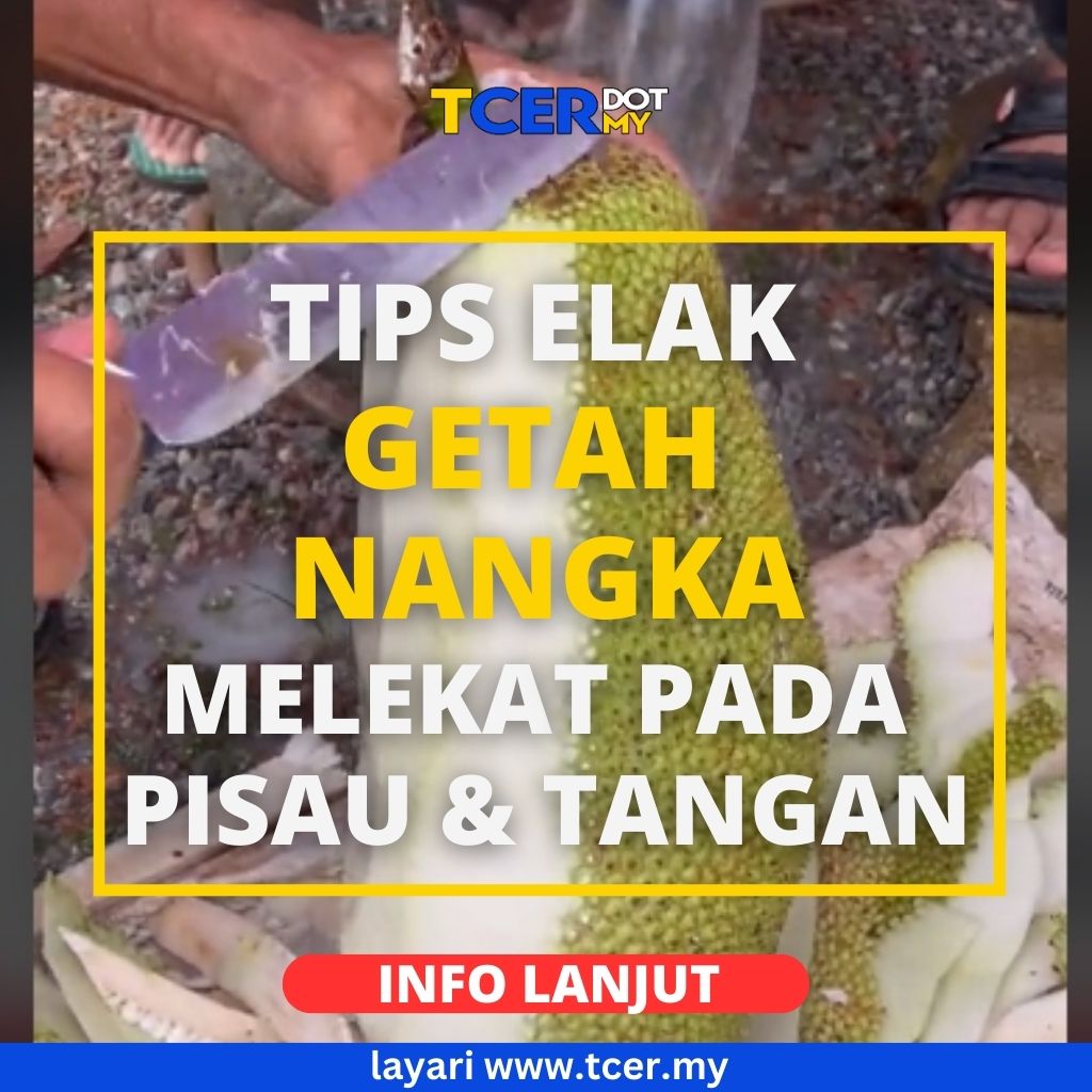 Viral 1 Tips Elak Getah Nangka Melekat Pada Pisau Dan Tangan - TCER.MY