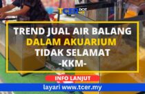 Penyakit Sawan (Epilepsi)- Punca,Tanda, Rawatan Dan Juga Pencegahan ...