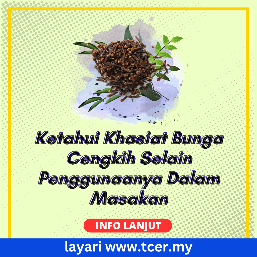 Bunga Cengkih : 5 Manfaatnya Yang Mungkin Anda Belum Tahu - TCER.MY
