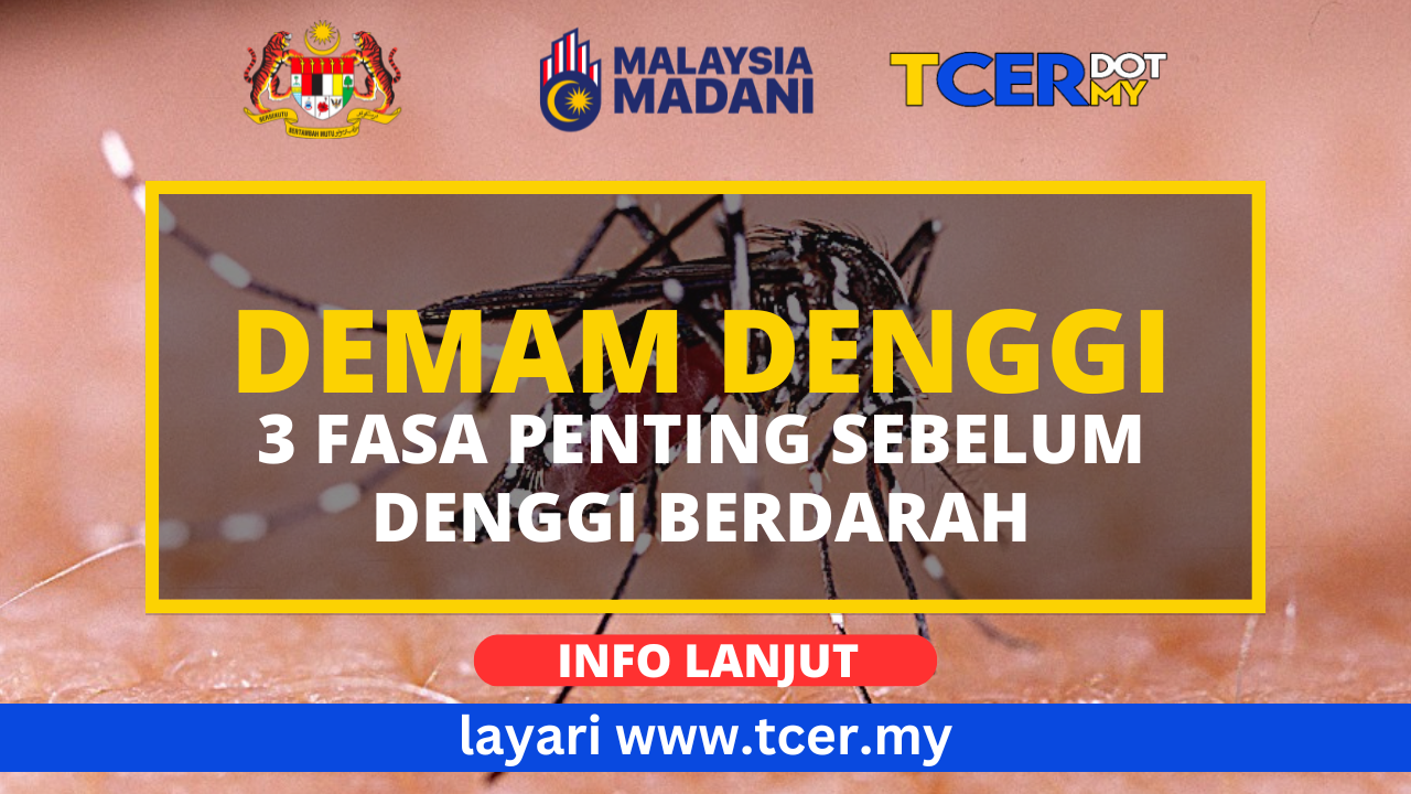 Demam Denggi Dan 3 Fasa Penting - TCER.MY