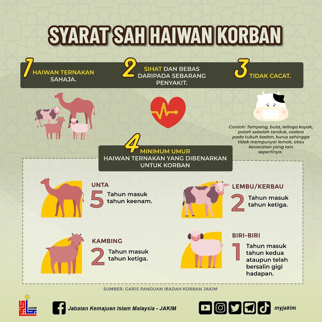 Ibadah Korban: Maksud, Dalil, Niat, Hukum & Syarat Melakukan Korban ...