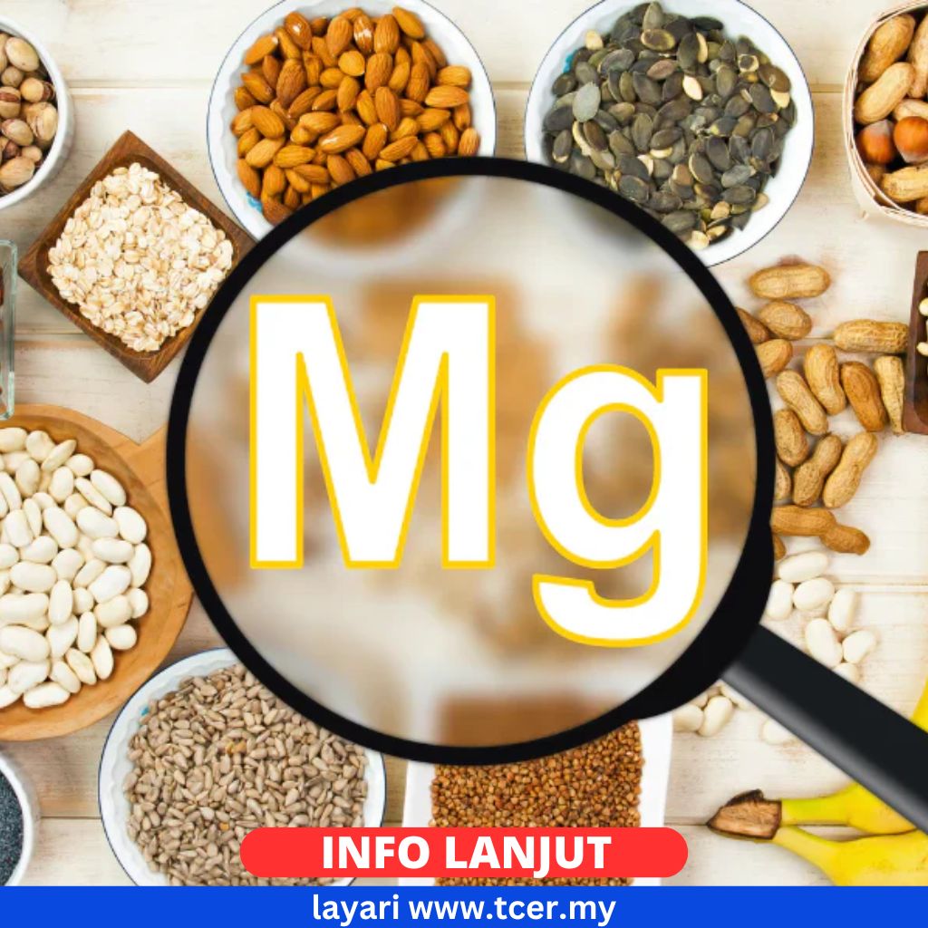 Magnesium: Fungsi, Jumlah Pengambilan & Manfaat Kesihatan - TCER.MY